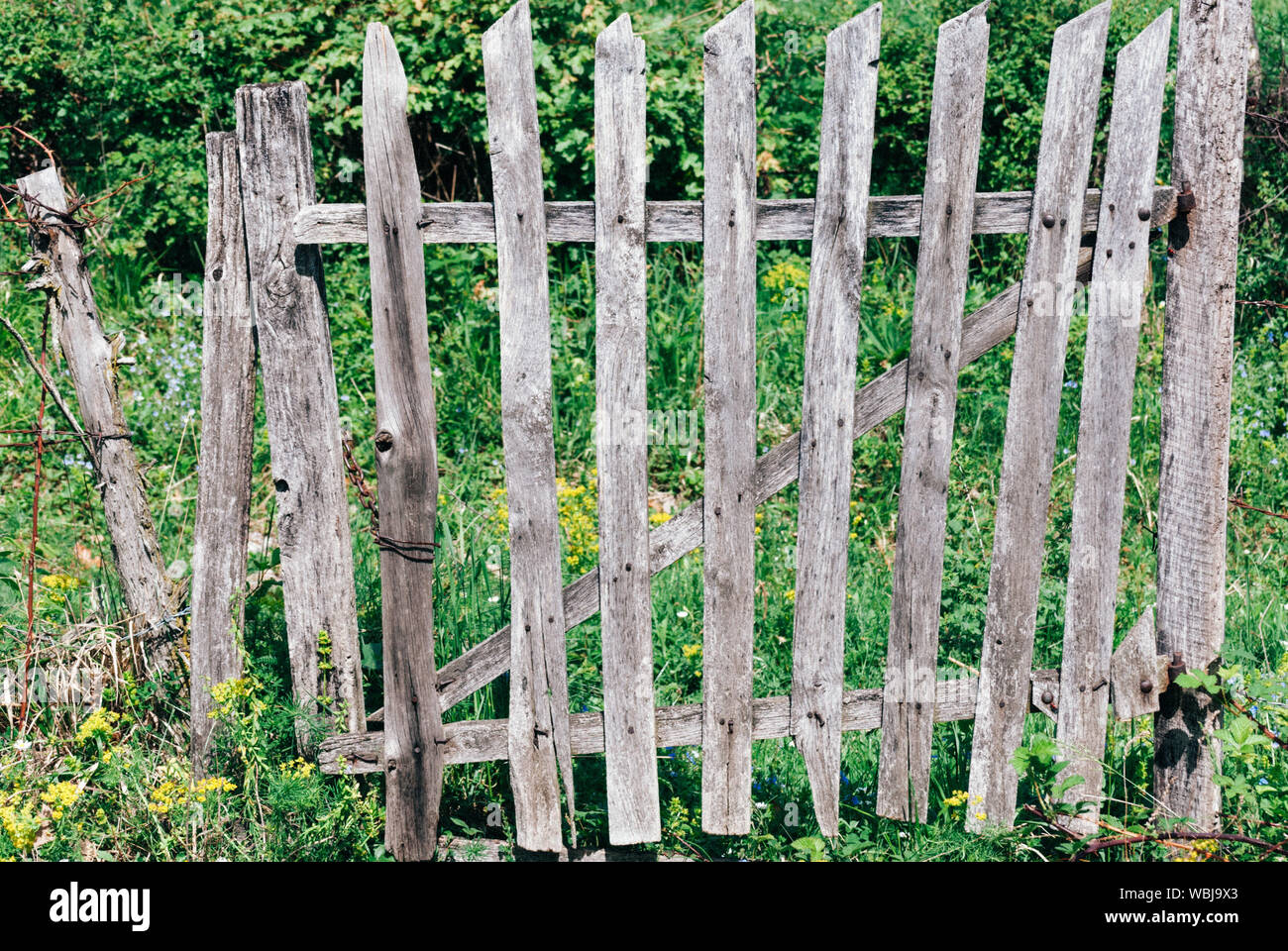 Gate into field hi-res stock photography and images - Alamy