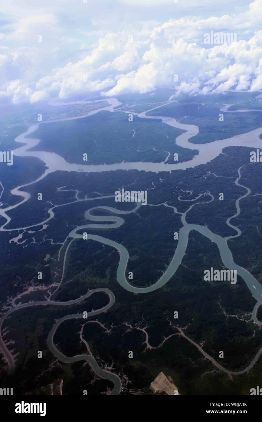 Snake pattern hi-res stock photography and images - Alamy