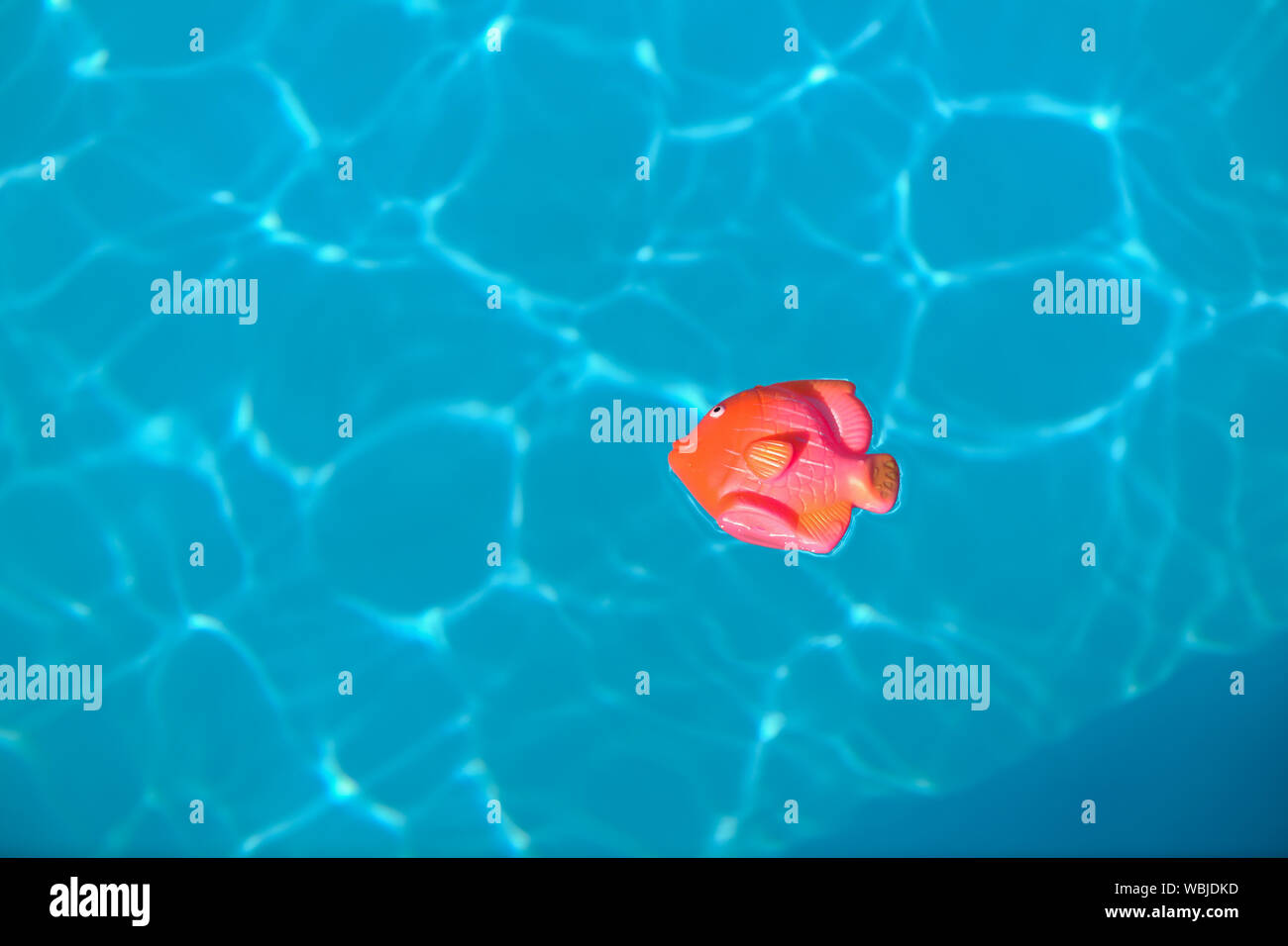 Toy fish in water hi-res stock photography and images - Alamy