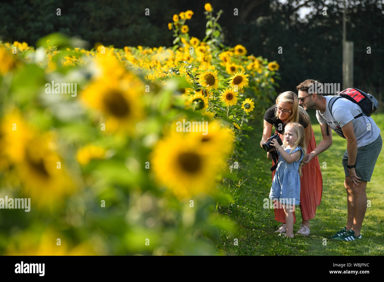 Jodie Dempster (left), Lillie Dempster and Adam Howitt by a field of ...