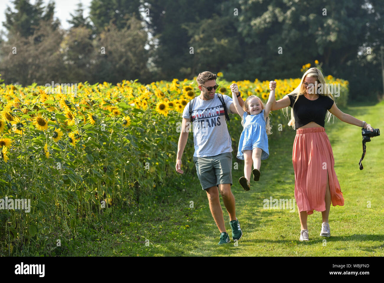 Jodie Dempster (right), Lillie Dempster and Adam Howitt by a field of ...