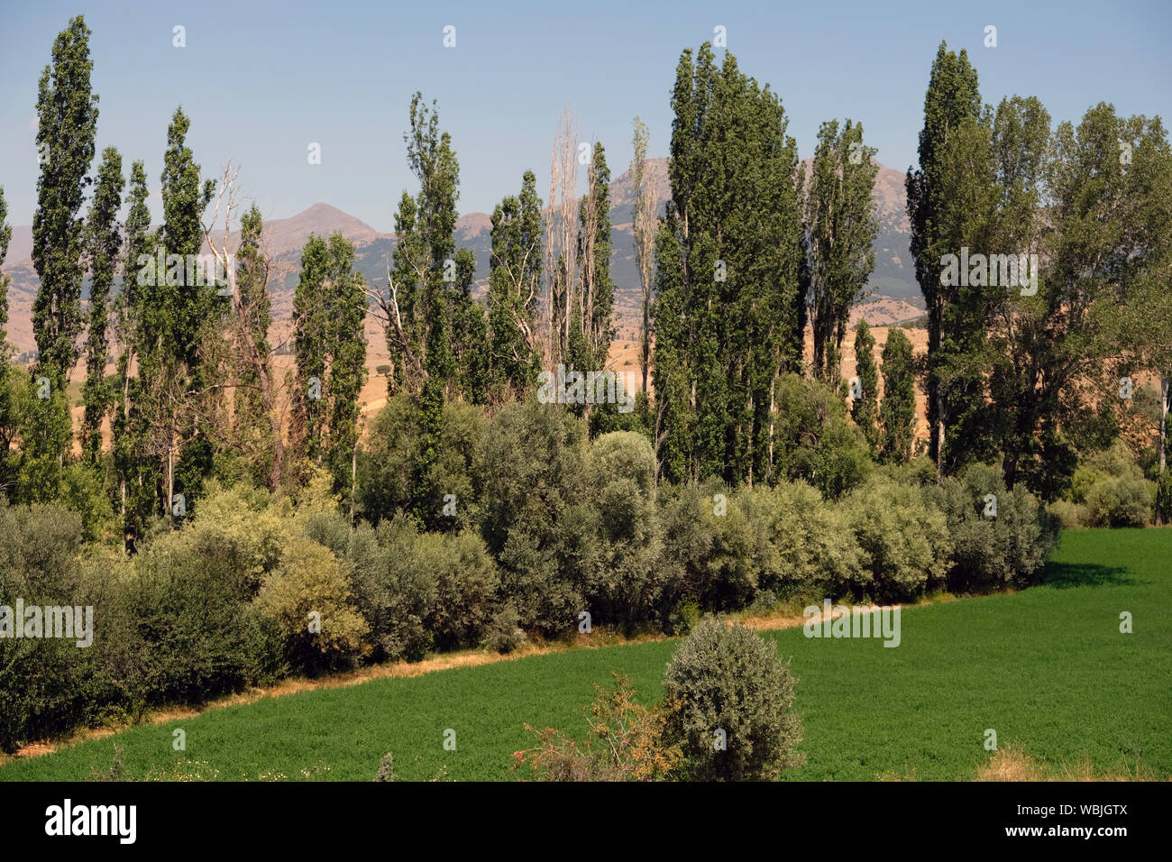 The different colors of the crops planted at different times provide ...