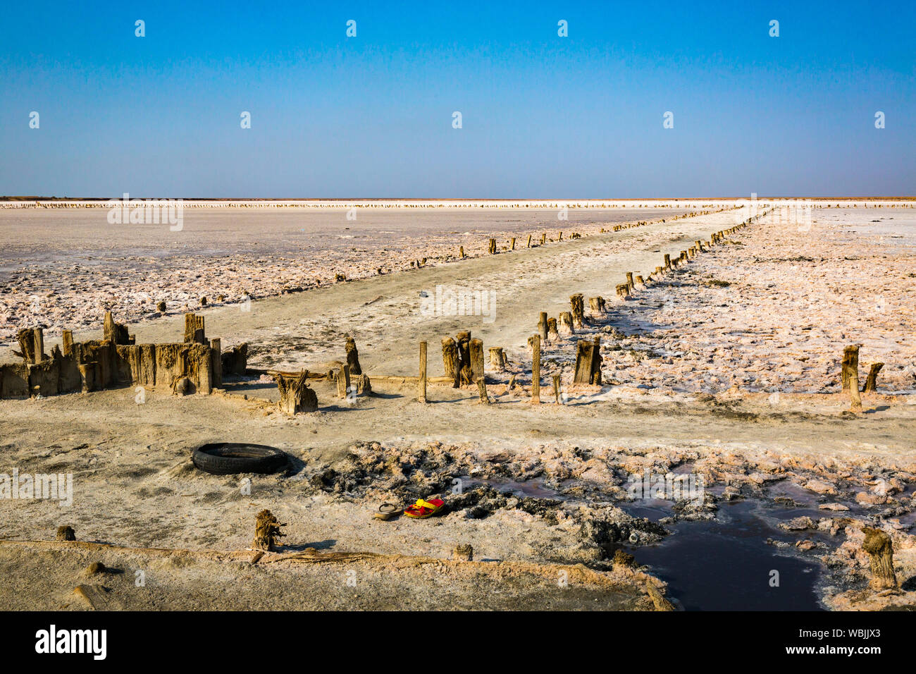 Pink salt lake in southern Ukraine Stock Photo - Alamy