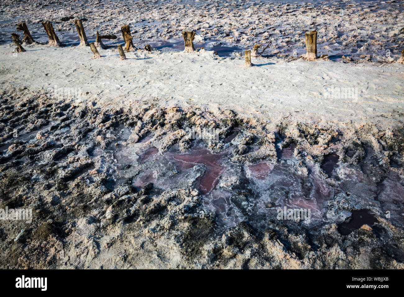 Crust scab hi-res stock photography and images - Alamy