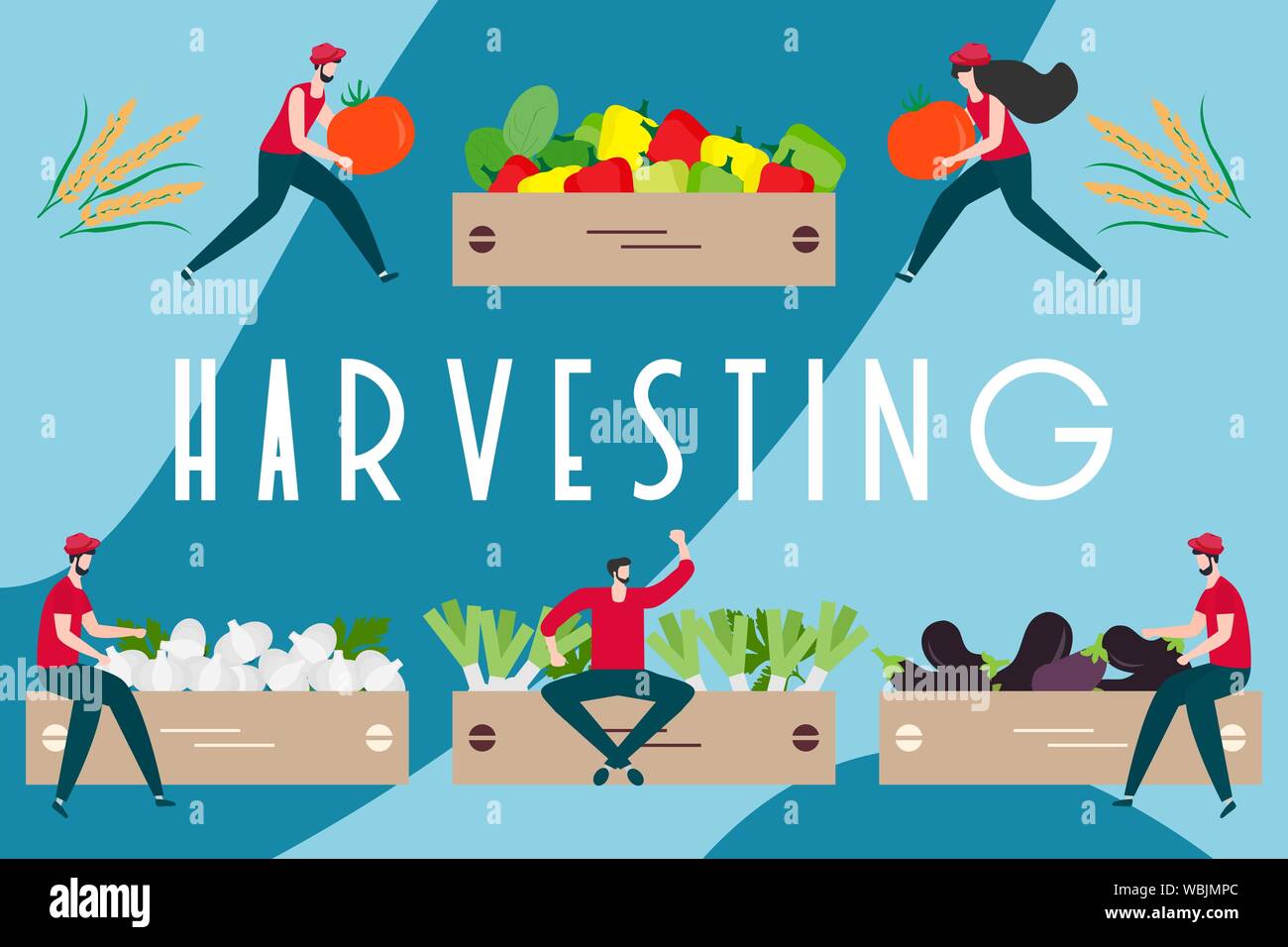 Vector illustration with people harvesting vegetables, boxes ...