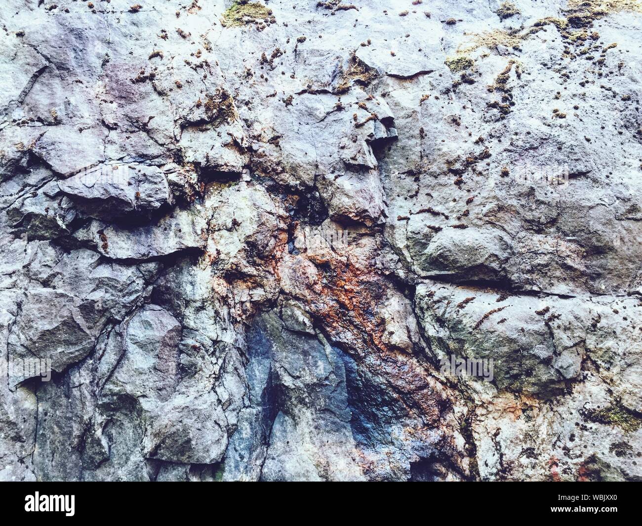 Stump Formation High Resolution Stock Photography and Images - Alamy