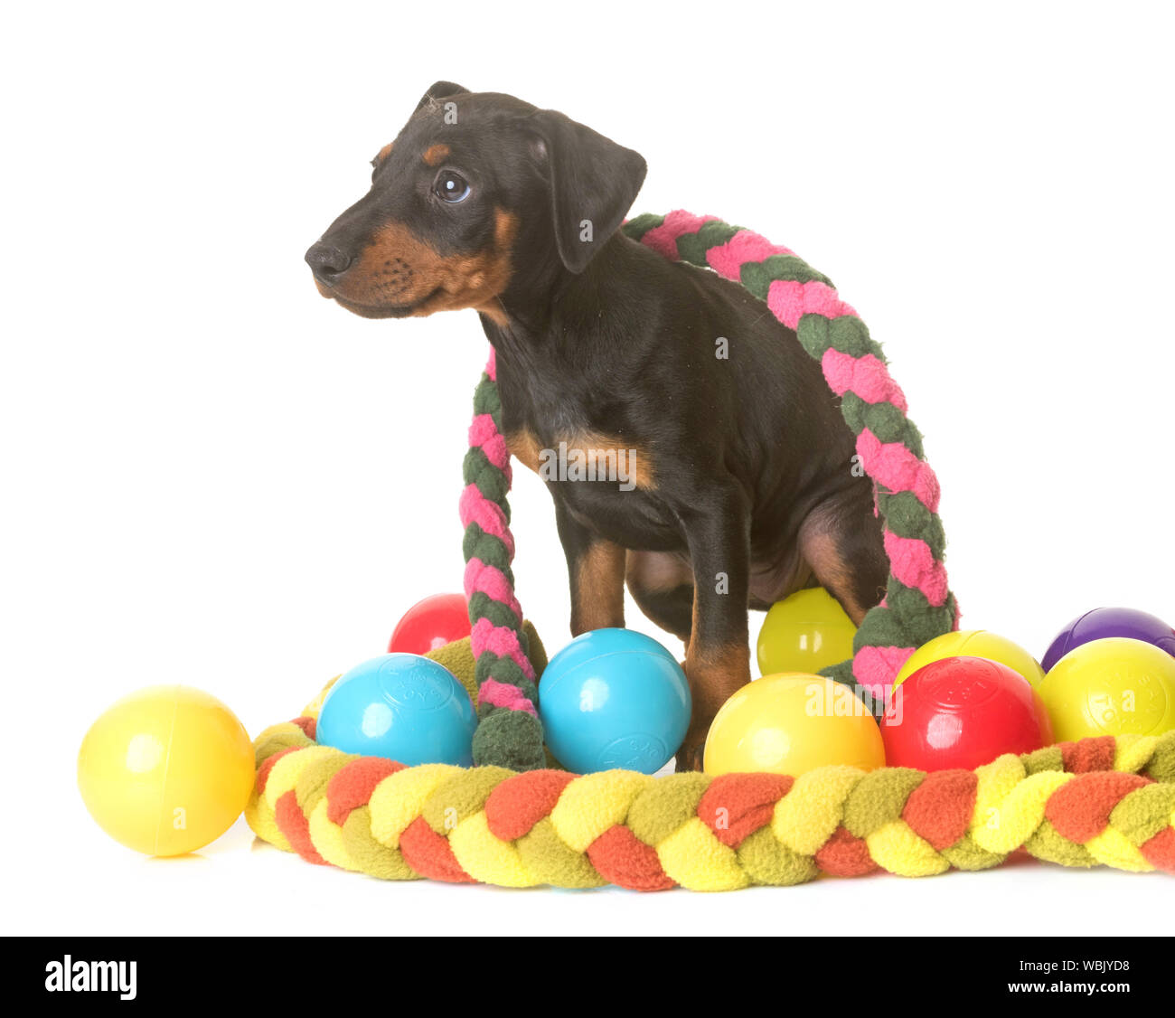 White background multi colored hi-res stock photography and images - Alamy