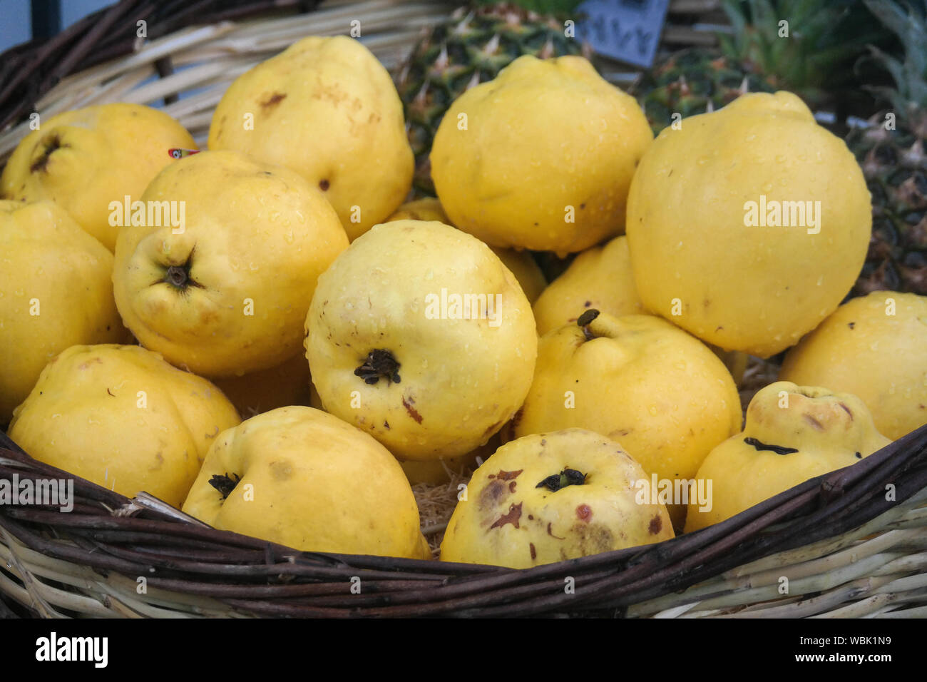 Fresh organic yellow quince. Quince fruit background texture Stock ...