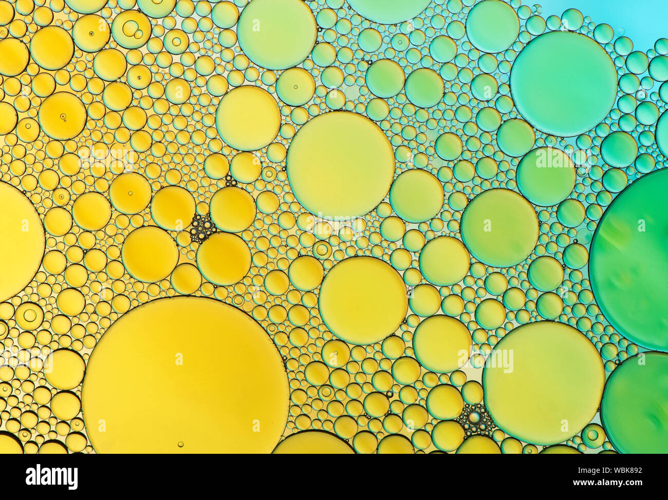 Multi-coloured bubble patterns formed by oil floating on water Stock ...