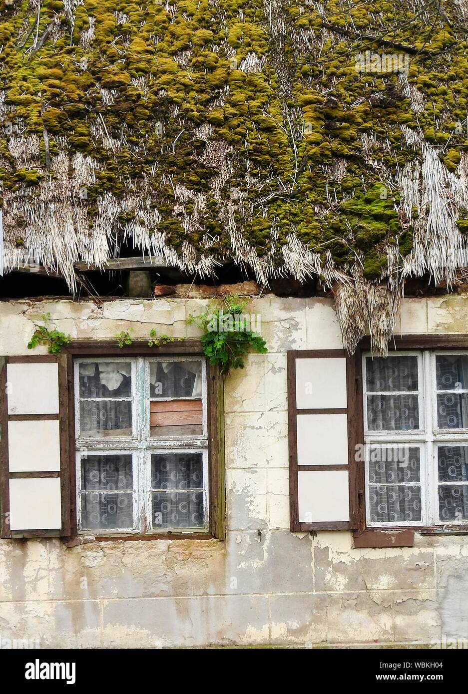 Old Moss Building High Resolution Stock Photography and Images - Alamy