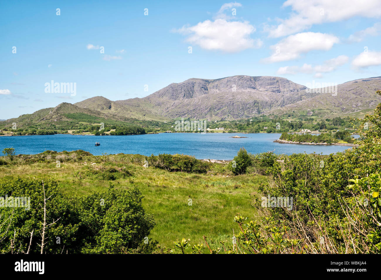 Picture of the beautiful Adrigole Bay at the footstep of Hungry Hill ...