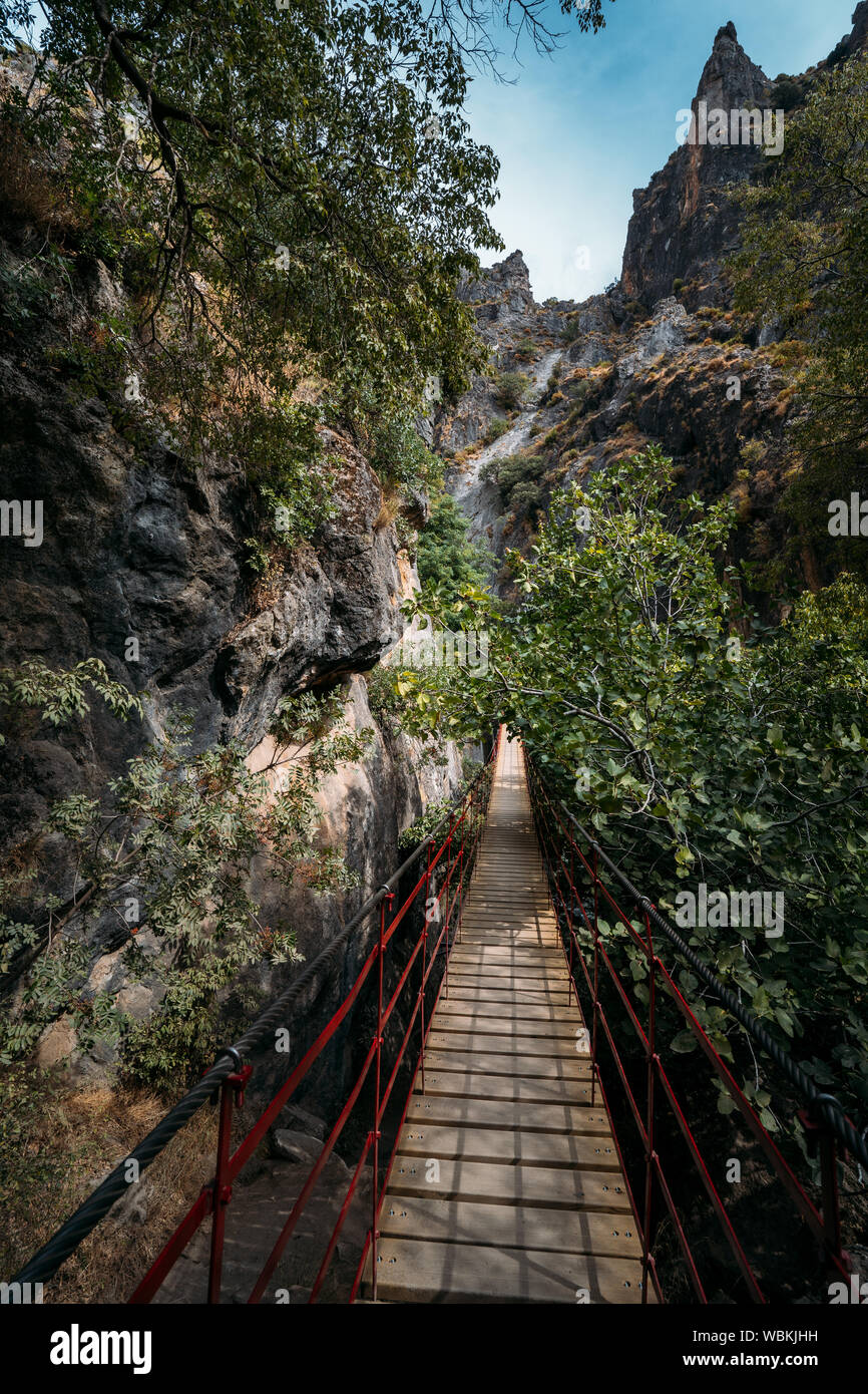 Spectacular effort hi-res stock photography and images - Alamy