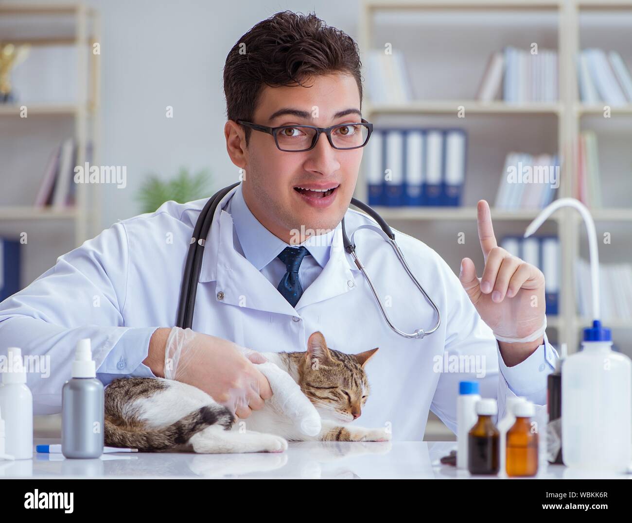 Cat visiting vet for regular check up Stock Photo - Alamy