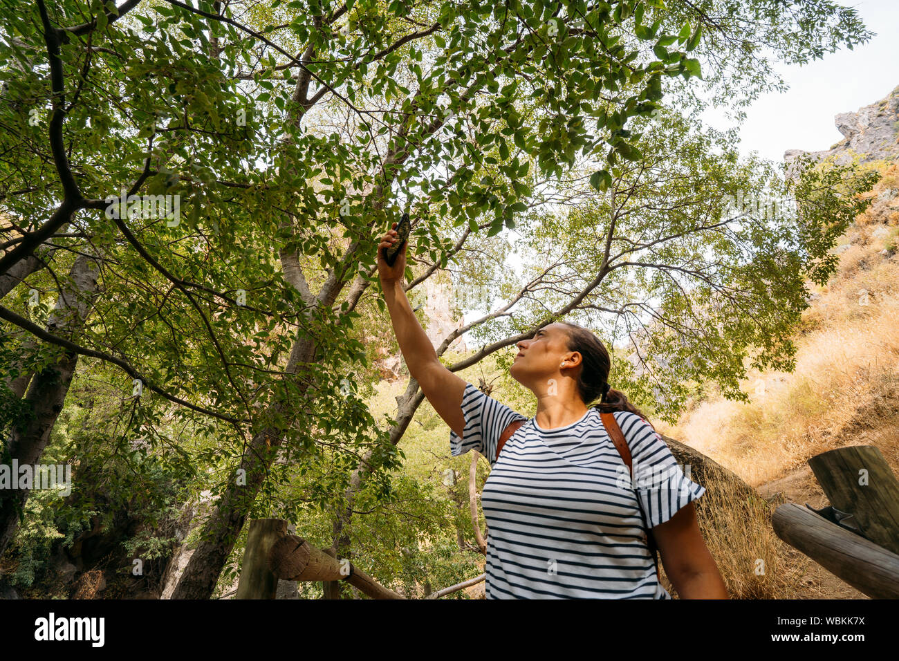 Phone reception forest hi-res stock photography and images - Alamy