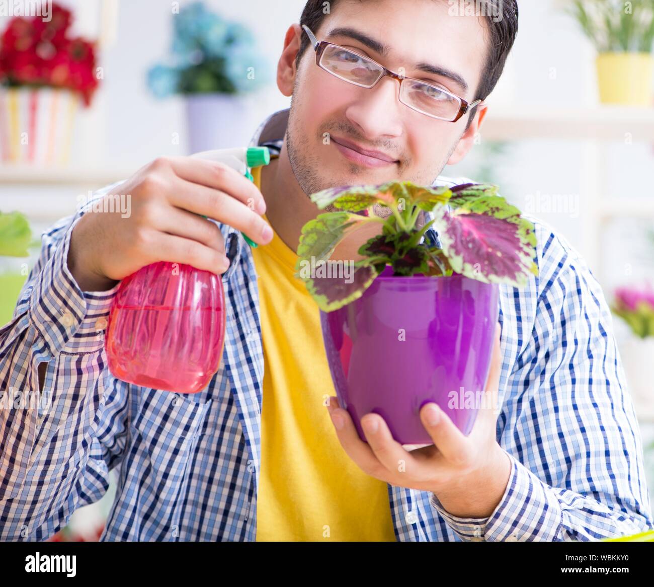 The gardener florist working in a flower shop with house plants Stock ...