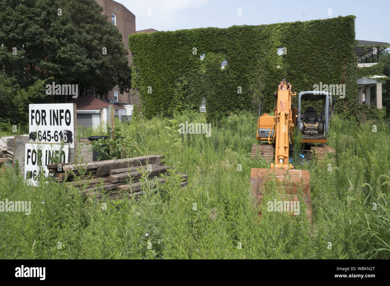 Overgrown lot hi-res stock photography and images - Alamy