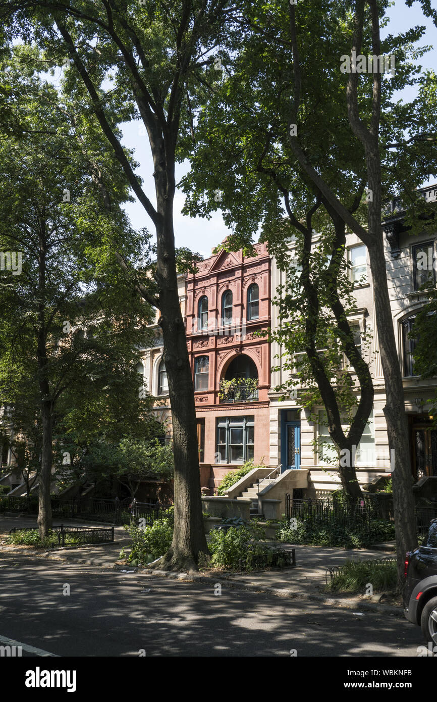 The trees are full of green on a residential street in the Park Slope ...