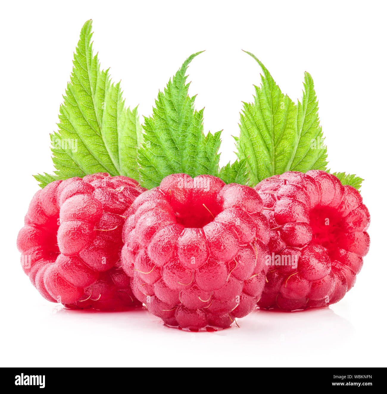Raspberry isolated on white background Stock Photo - Alamy