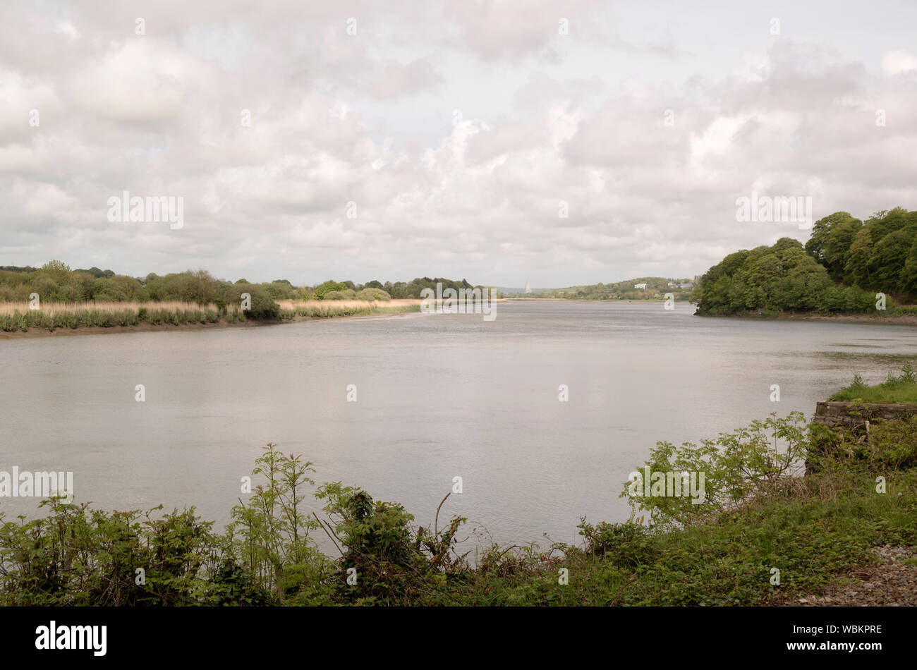 Wide River Suir flowing towards Waterford in Ireland Stock Photo - Alamy