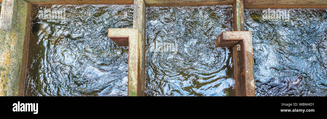 A Concrete Fish Ladder in Seattle at Ballard Locks Stock Photo - Alamy