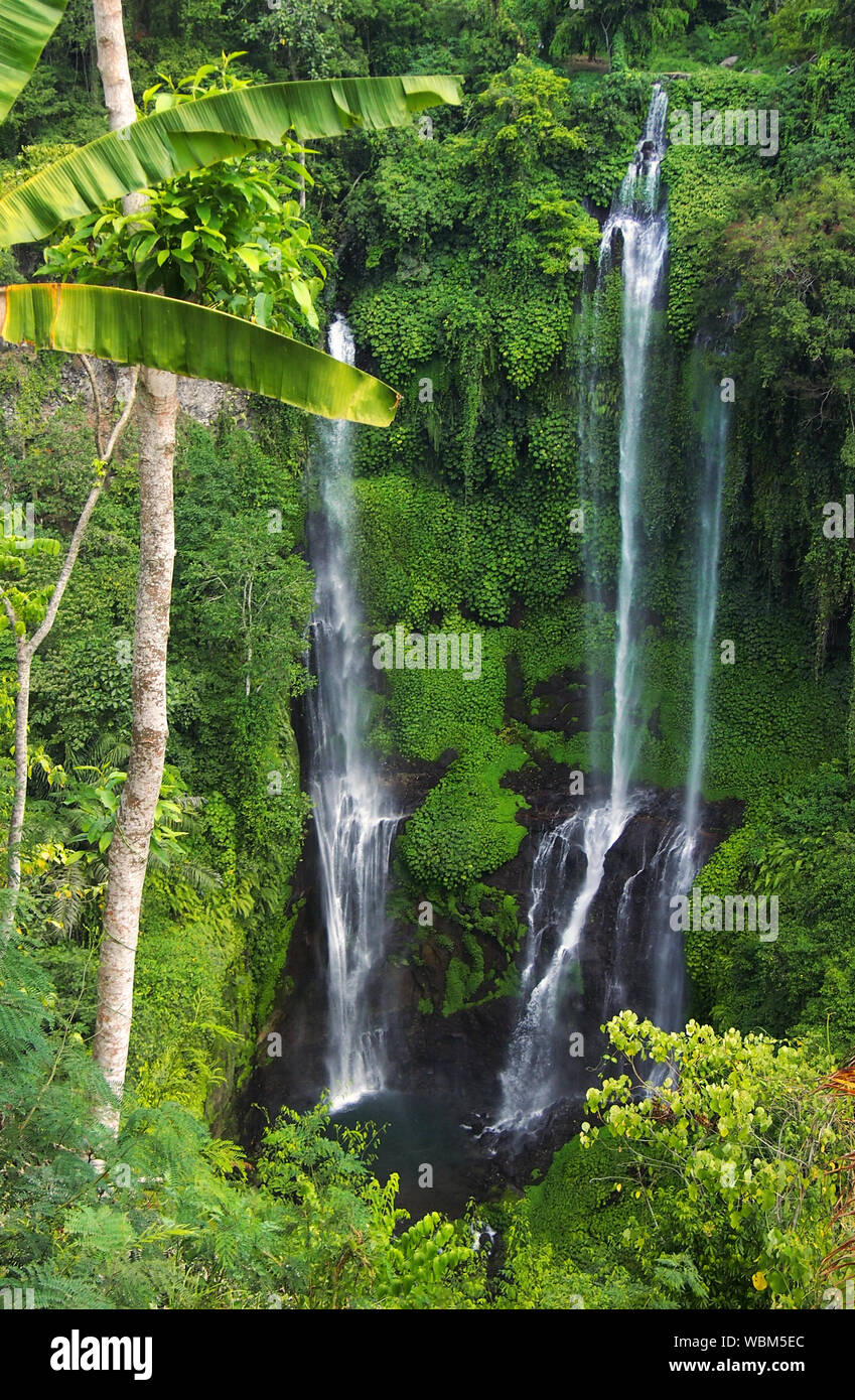 Scenic View Of Waterfall In Forest Stock Photo - Alamy