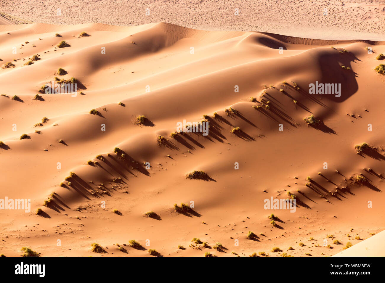Beautiful pattern formed by nature, Namib desert, Namibia Stock Photo ...