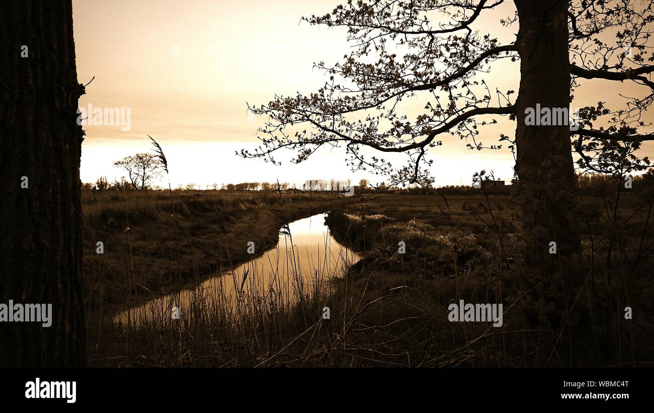 River meadow hi-res stock photography and images - Alamy