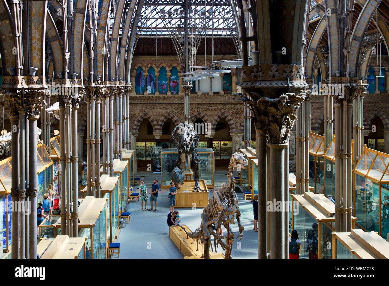 Oxford University Museum Of Natural History Stock Photos & Oxford University Museum Of Natural ...