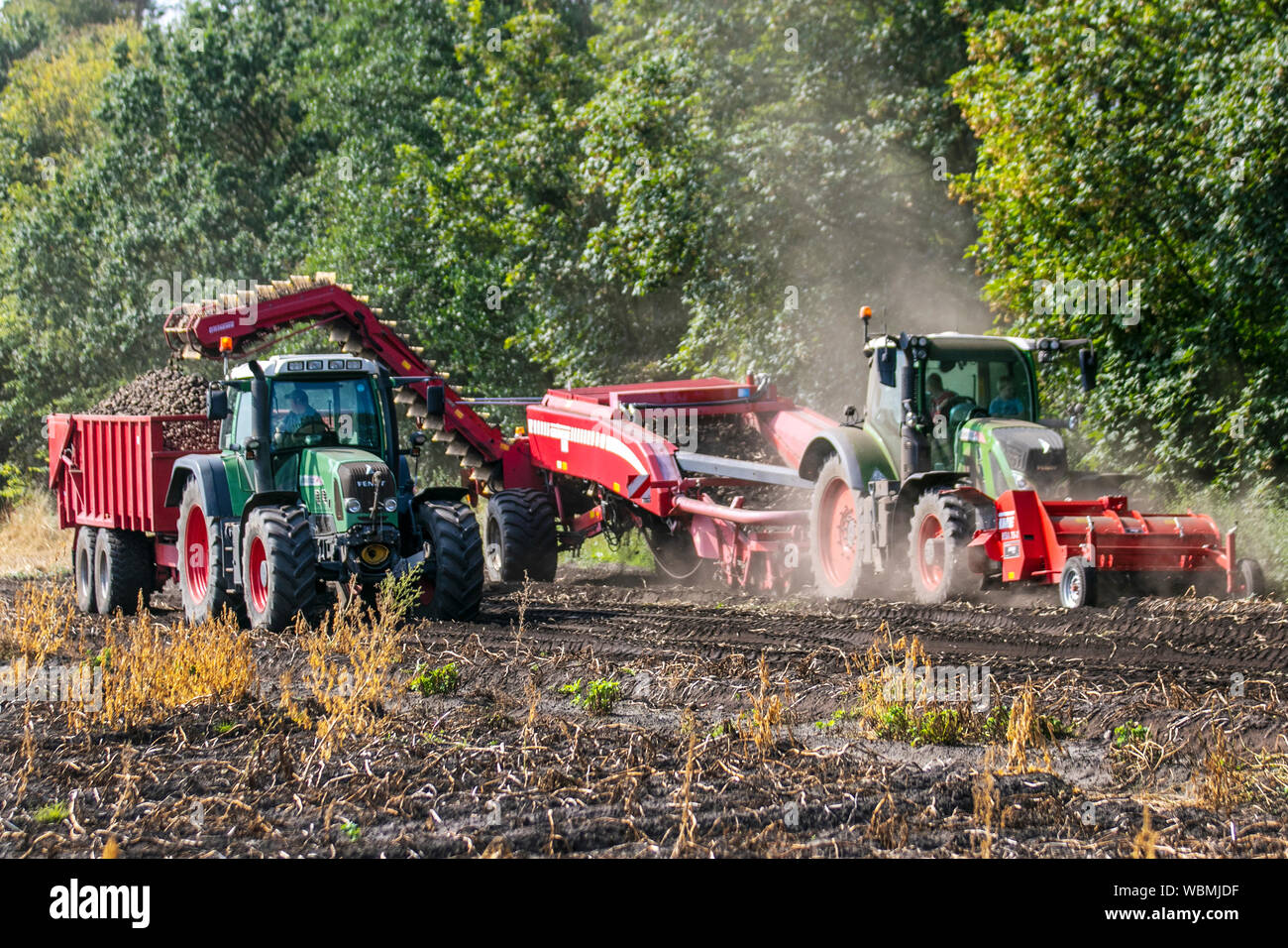Lifting potato winter hi-res stock photography and images - Alamy