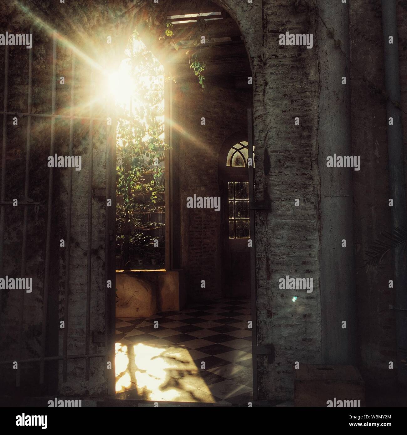 Bright sunlight streaming through window hi-res stock photography and ...