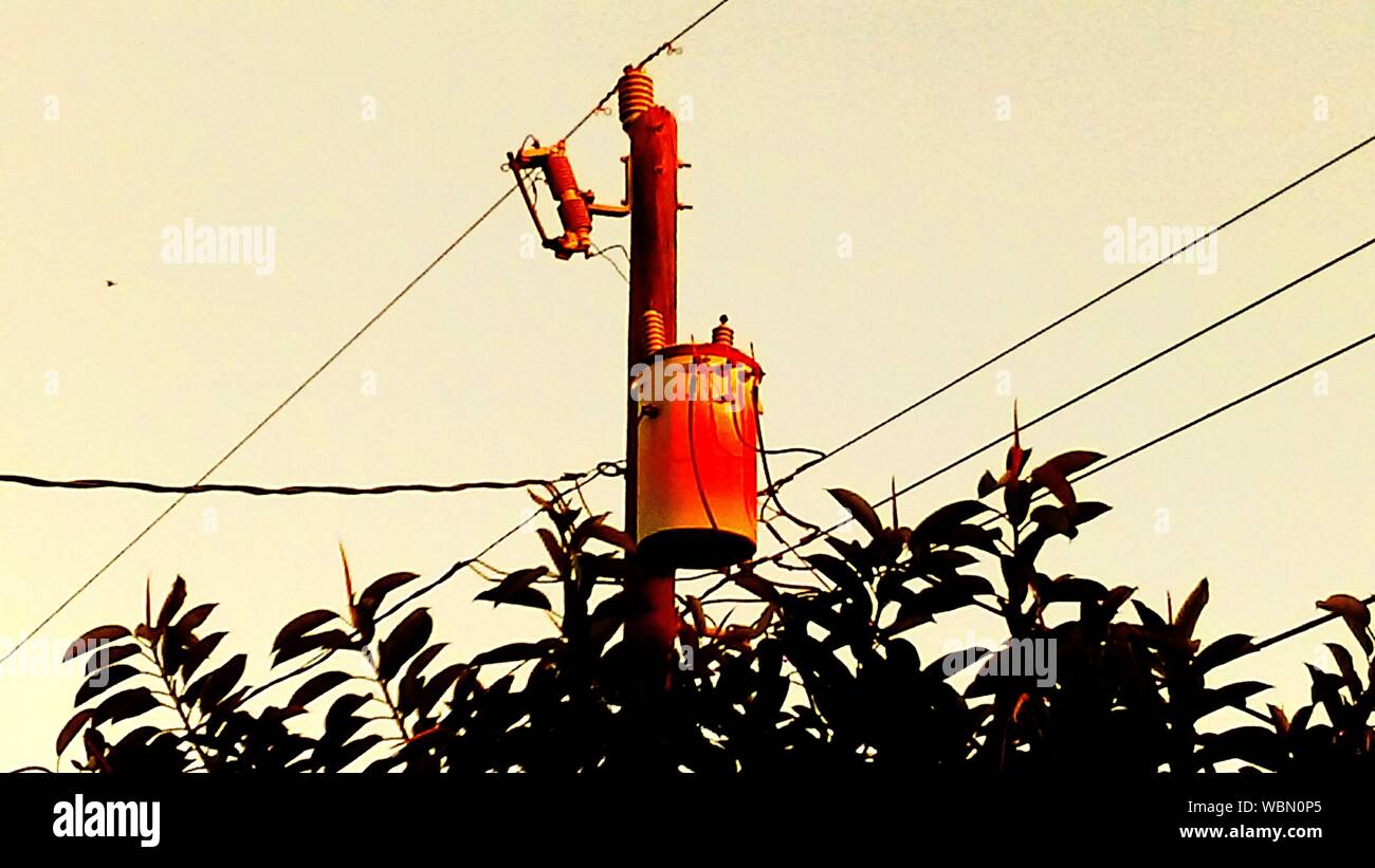 Pylon tree hi-res stock photography and images - Alamy