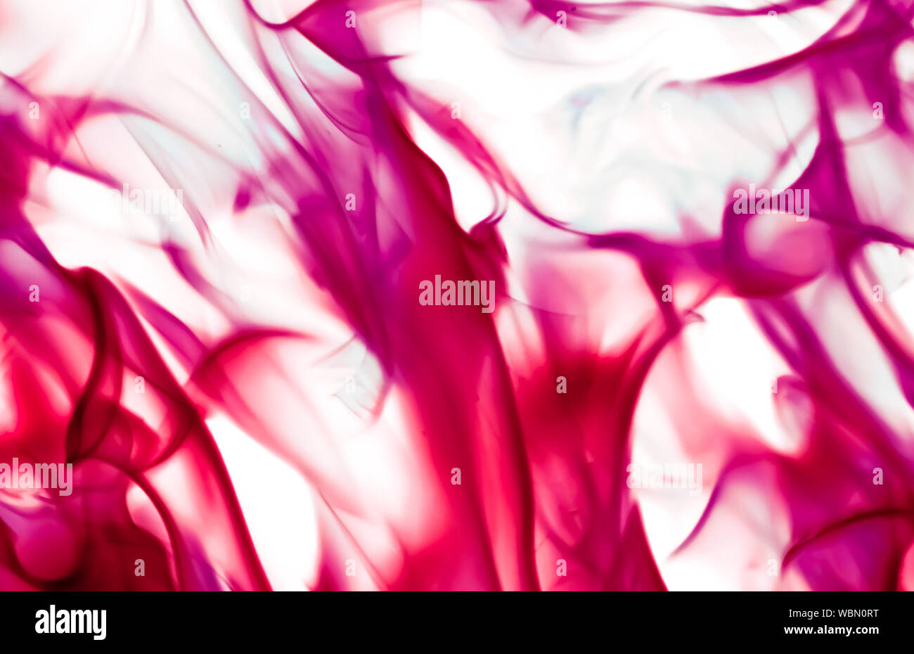 Technology, science and artistic flow concept - Abstract wave ...