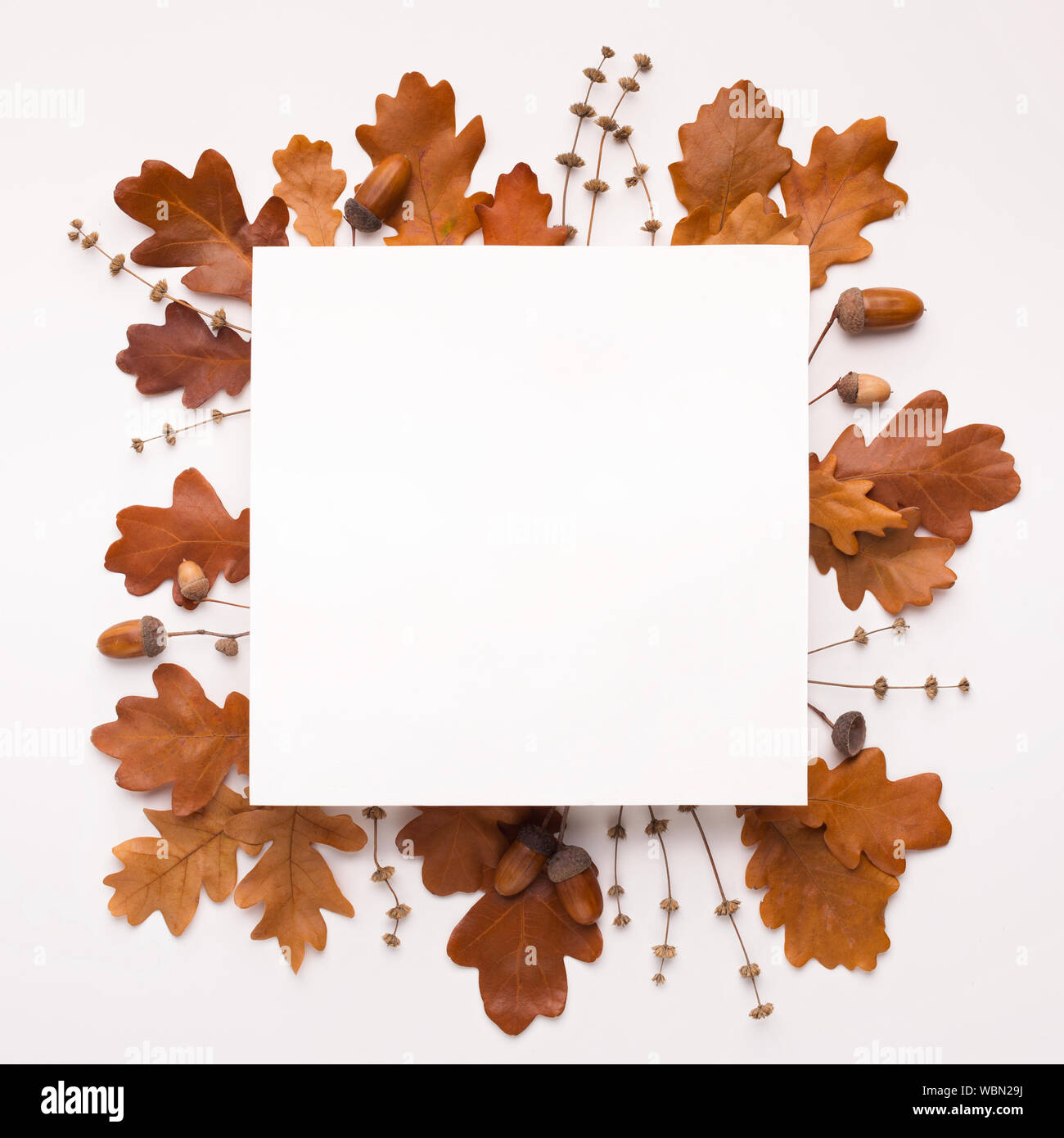 Oak leaf logo hi-res stock photography and images - Alamy