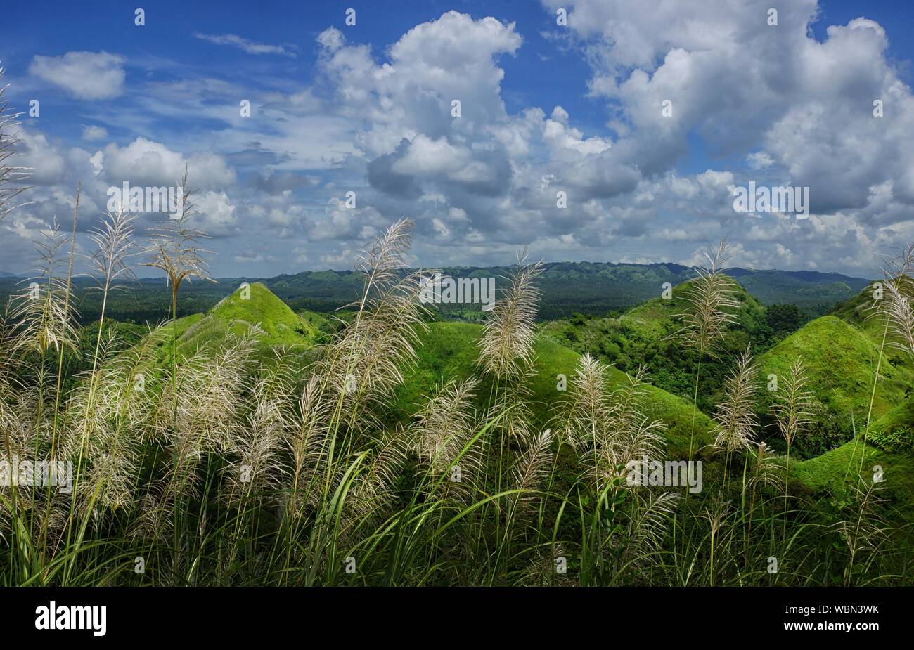 Quitinday green hills hi-res stock photography and images - Alamy