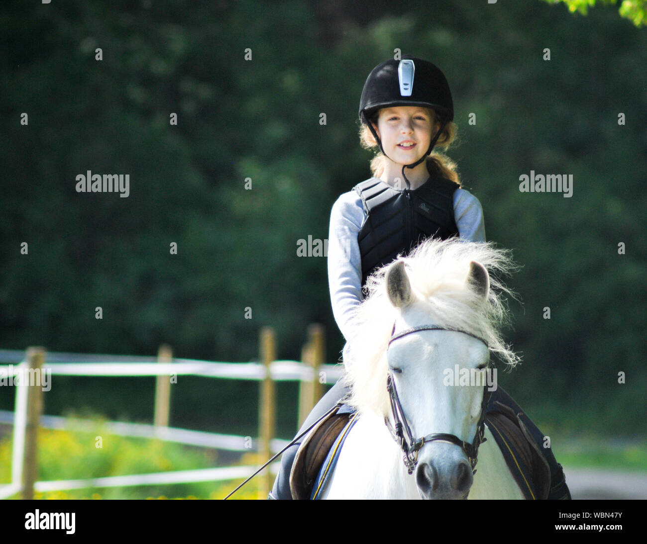 Riding field hi-res stock photography and images - Alamy