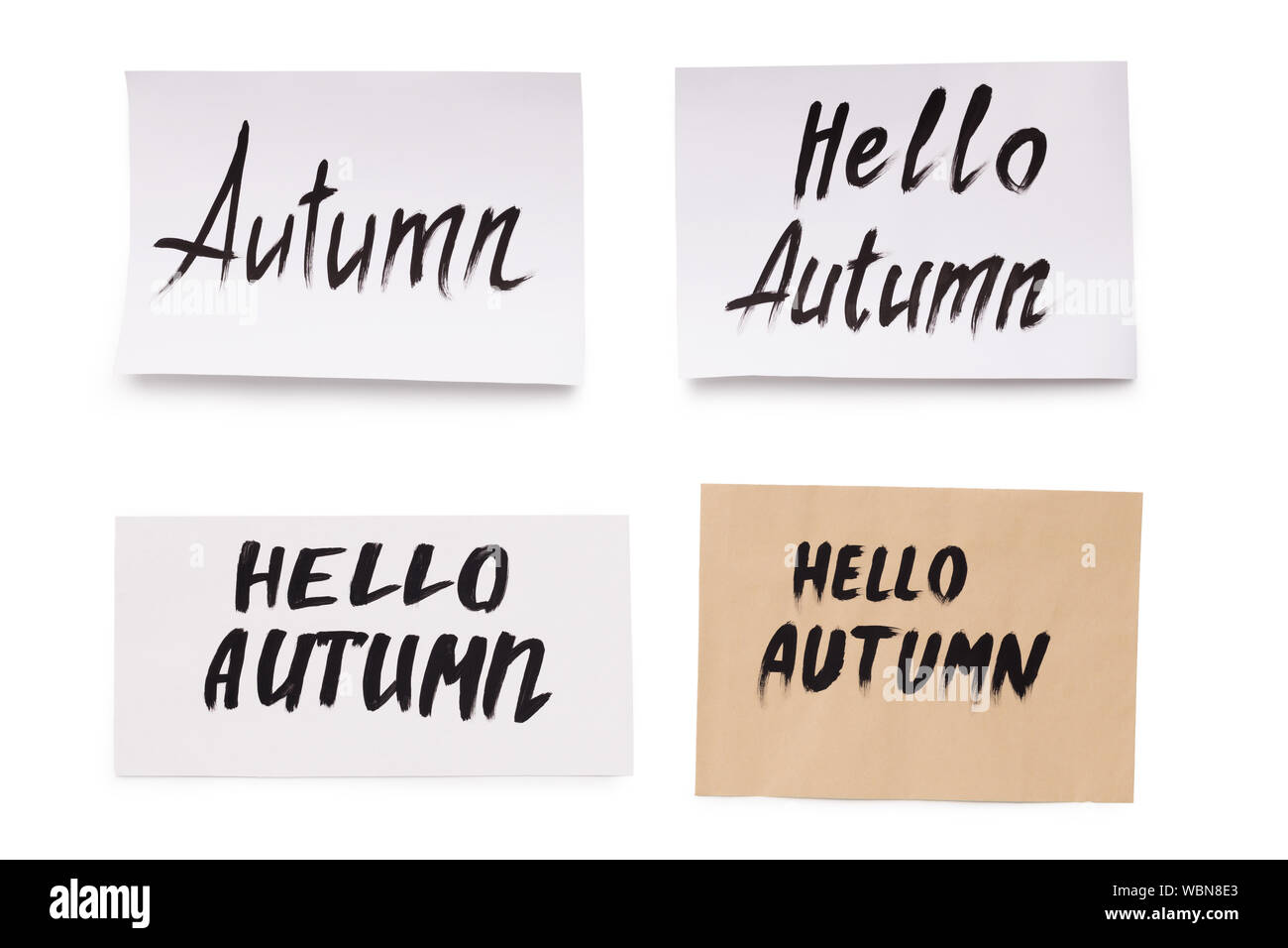 September concept text on Cut Out Stock Images & Pictures - Alamy