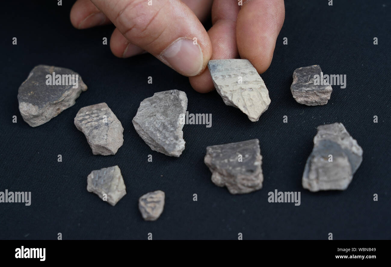 Memleben, Germany. 27th Aug, 2019. Fragments of ribbon ceramics from ...