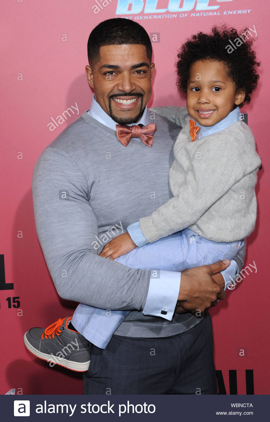 David Otunga Stock Photos & David Otunga Stock Images - Alamy