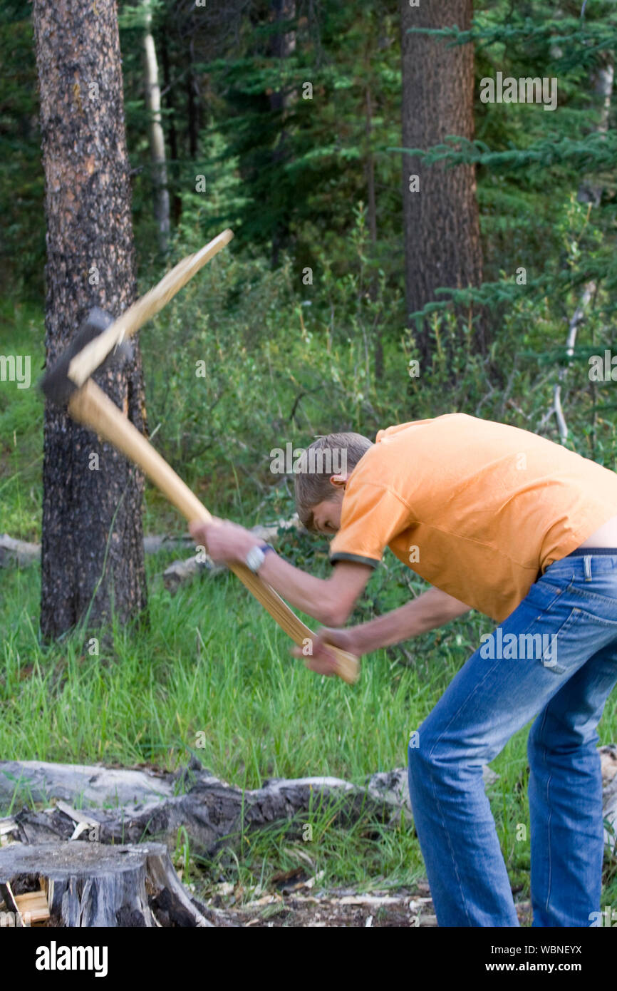 Chopping tree axe hi-res stock photography and images - Alamy