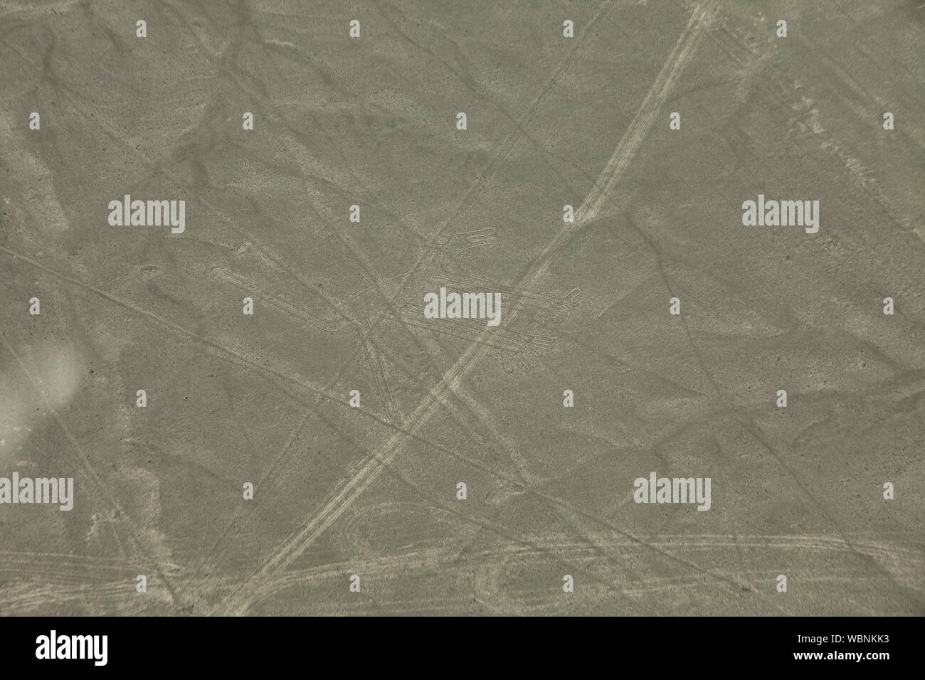 The Dog, Nazca Lines, Nasca geoglyphs, UNESCO World Heritage site near ...