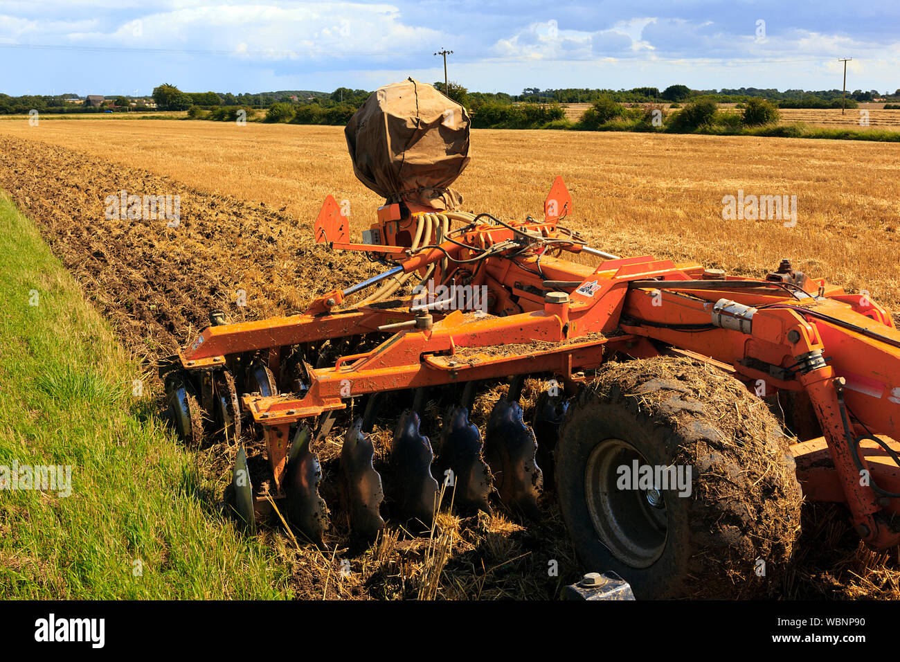 Mechanical cultivator cultivating farm fields following harvesting of ...
