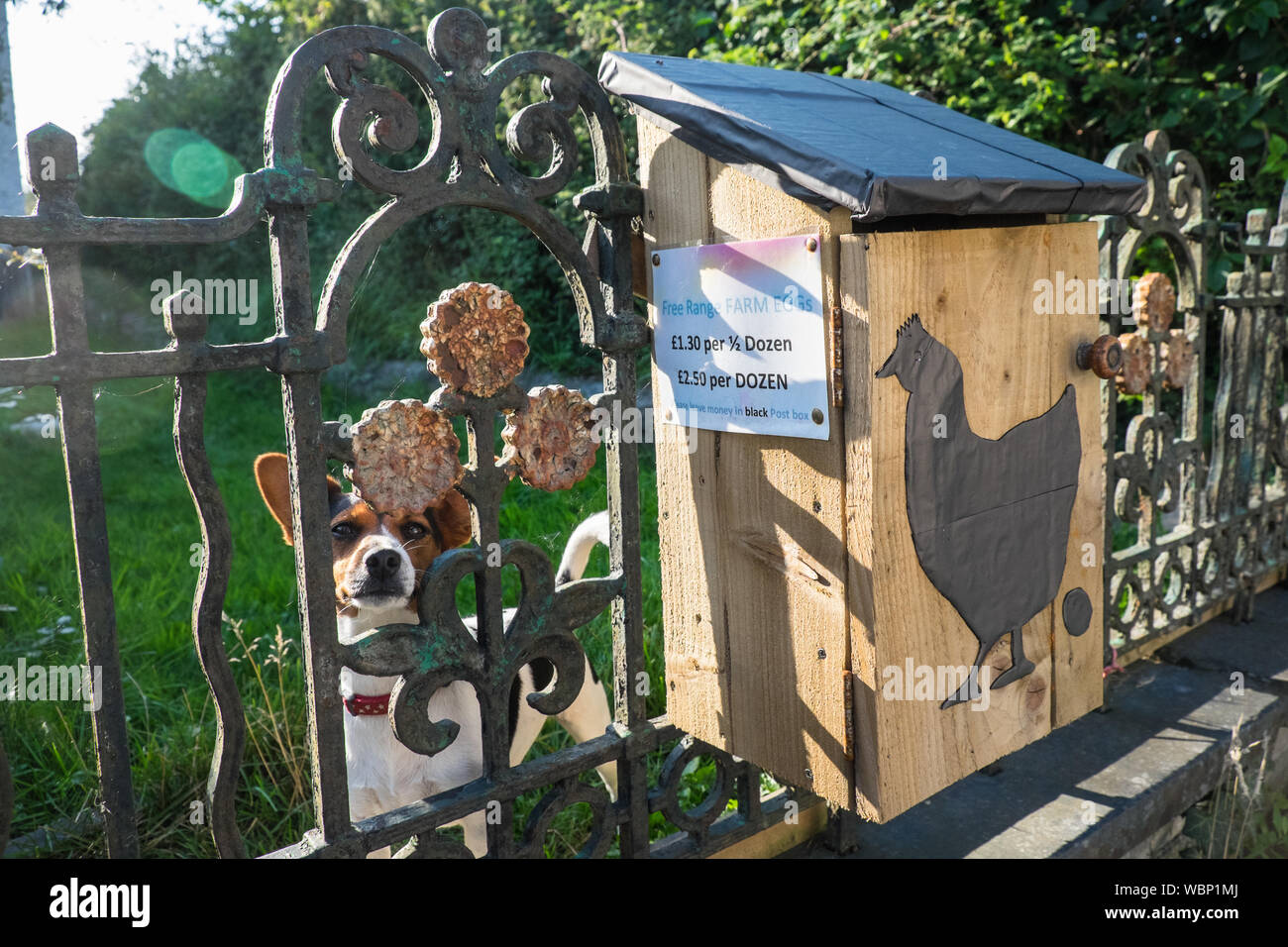 Honesty box roadside hi-res stock photography and images - Alamy