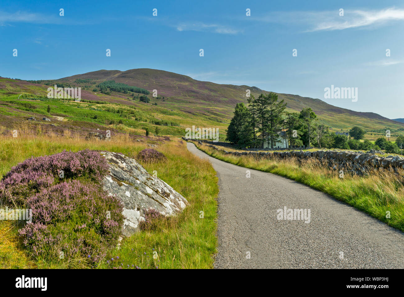 Calvie hi-res stock photography and images - Alamy