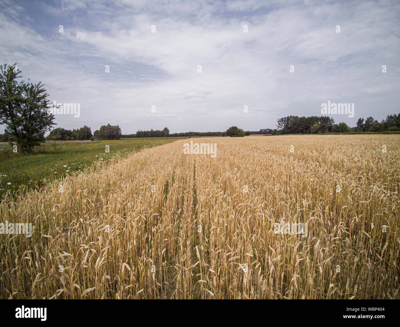arable fields seen from above, agriculture Stock Photo - Alamy
