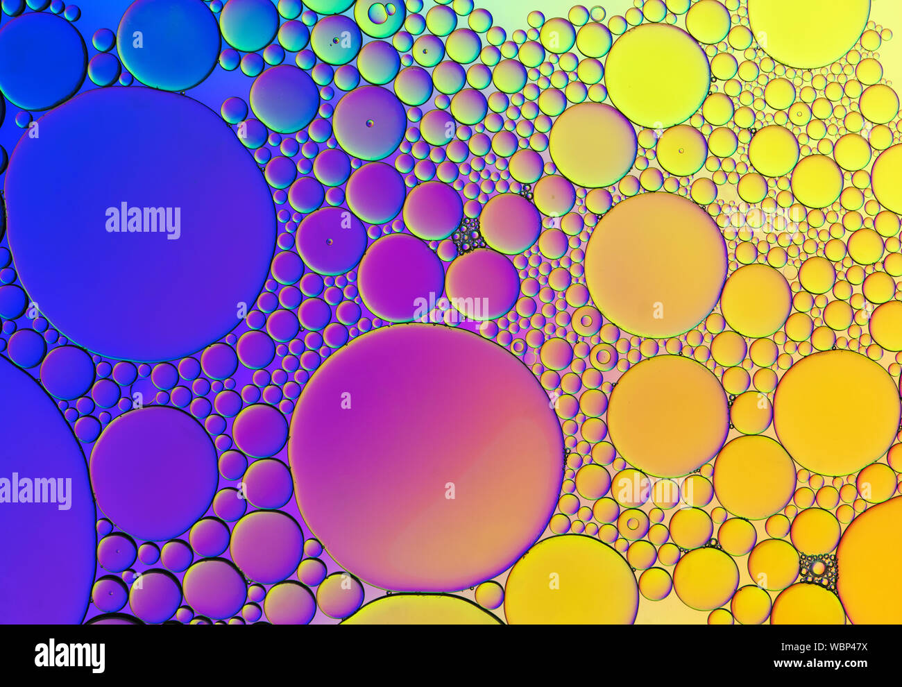Multi-coloured bubble patterns formed by oil floating on water Stock ...