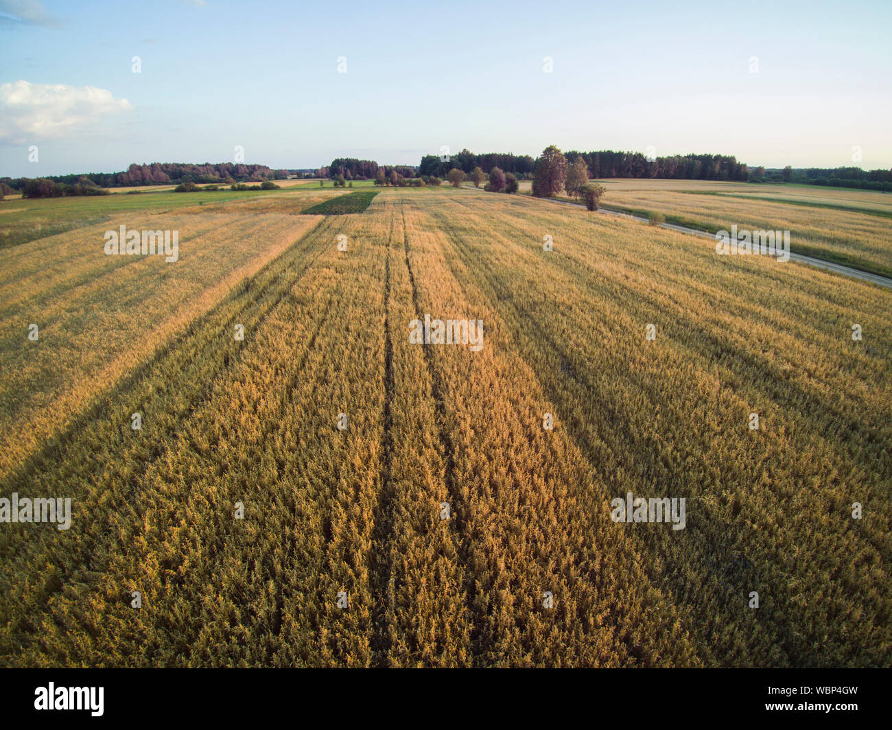 arable fields seen from above, agriculture Stock Photo - Alamy