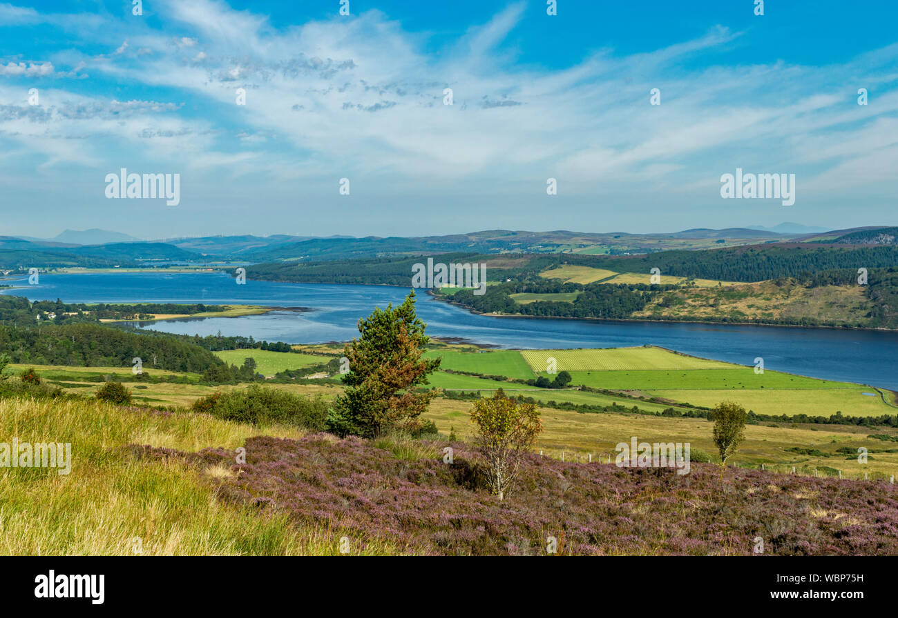 STRUIE HILL ROSS AND CROMARTY SCOTLAND VIEW IN LATE SUMMER OVERLOOKING ...