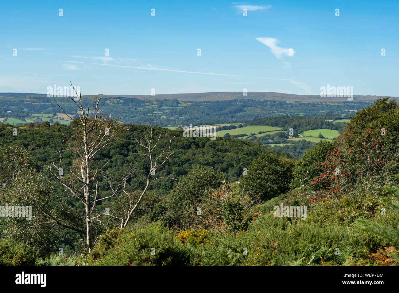 Fingle gorge hi-res stock photography and images - Alamy