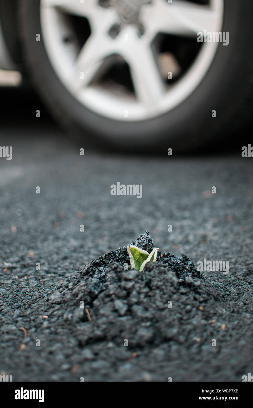 Tar road hi-res stock photography and images - Alamy