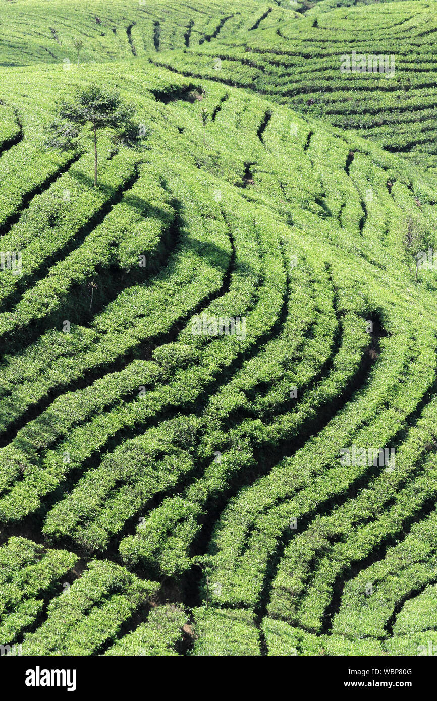 West java highlands hi-res stock photography and images - Alamy